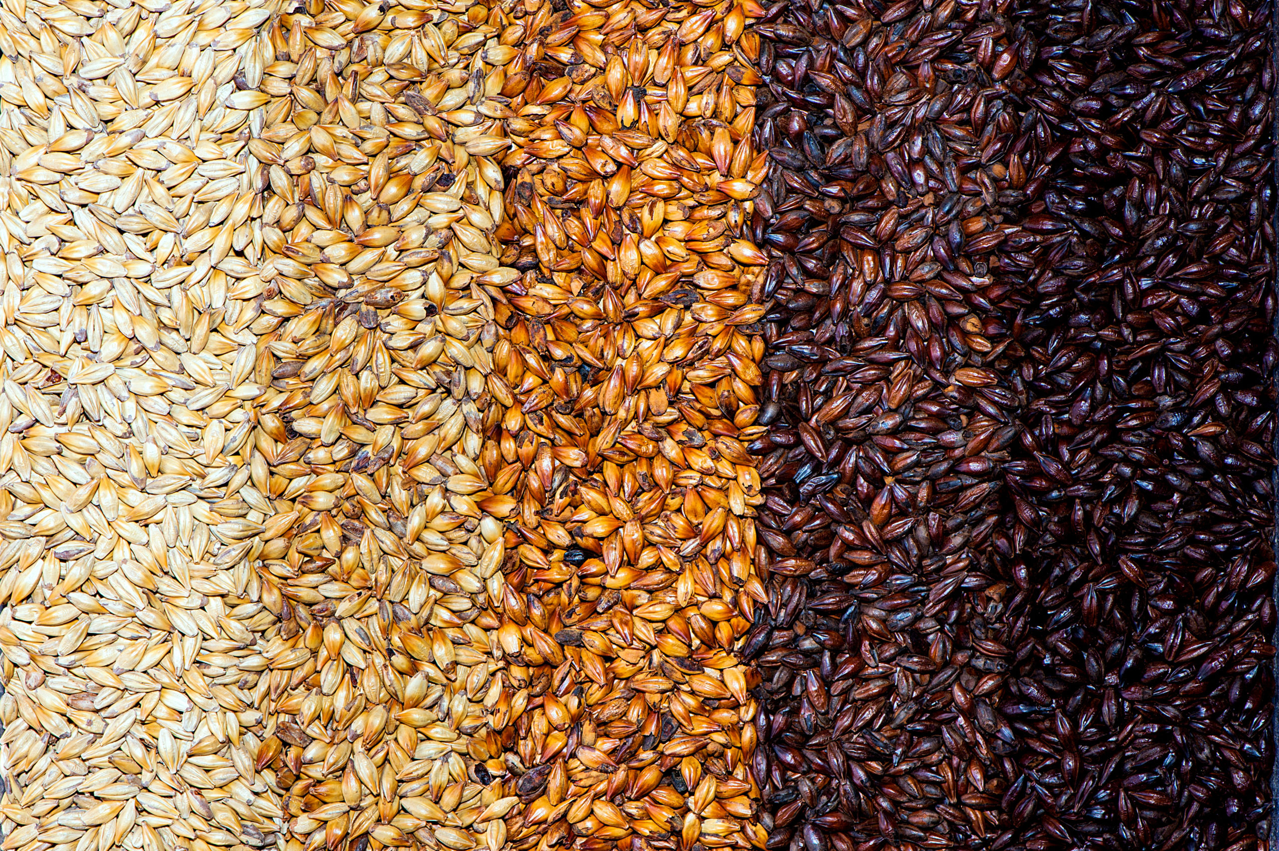 Liste malts, substituts et équivalences - Le Comptoir du Brasseur